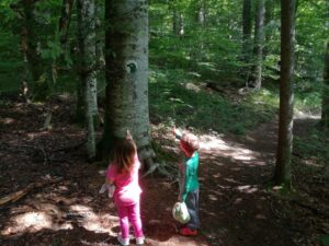 Kocevsko Experience - Slocally