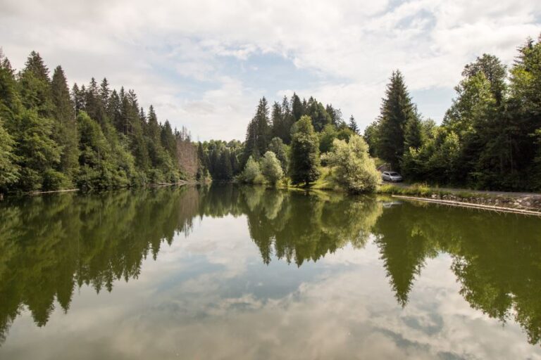 Kocevsko Experience - Slocally